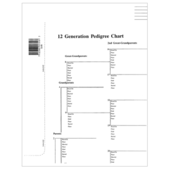 Pedigree Chart, LDS, 4 Generation - Deseret Book
